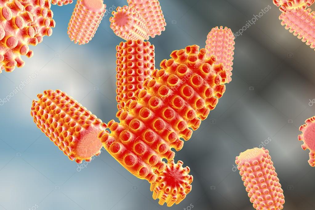 Rabies virus Stock Photo by ©katerynakon 78120314