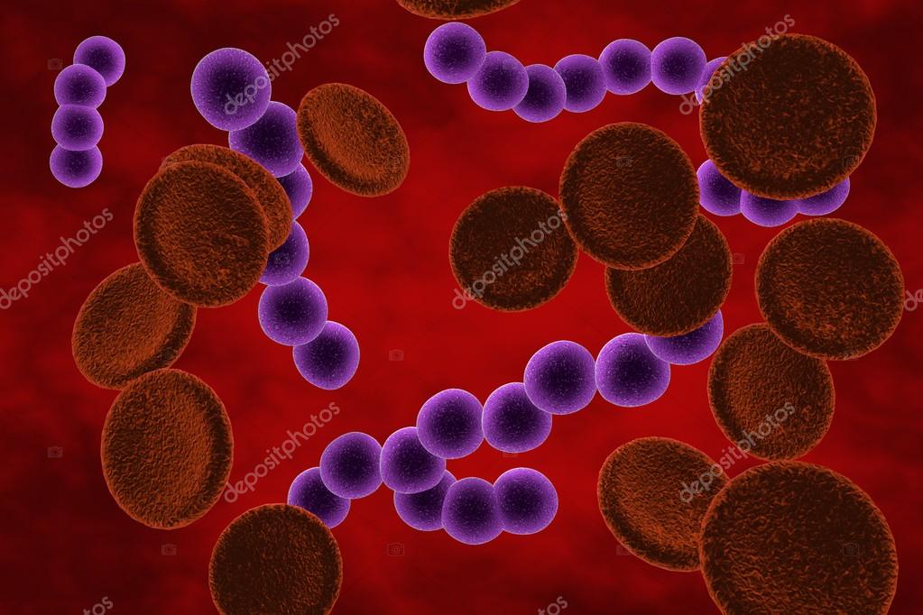Bacteria Streptococcus Stock Photo by ©katerynakon 78120496