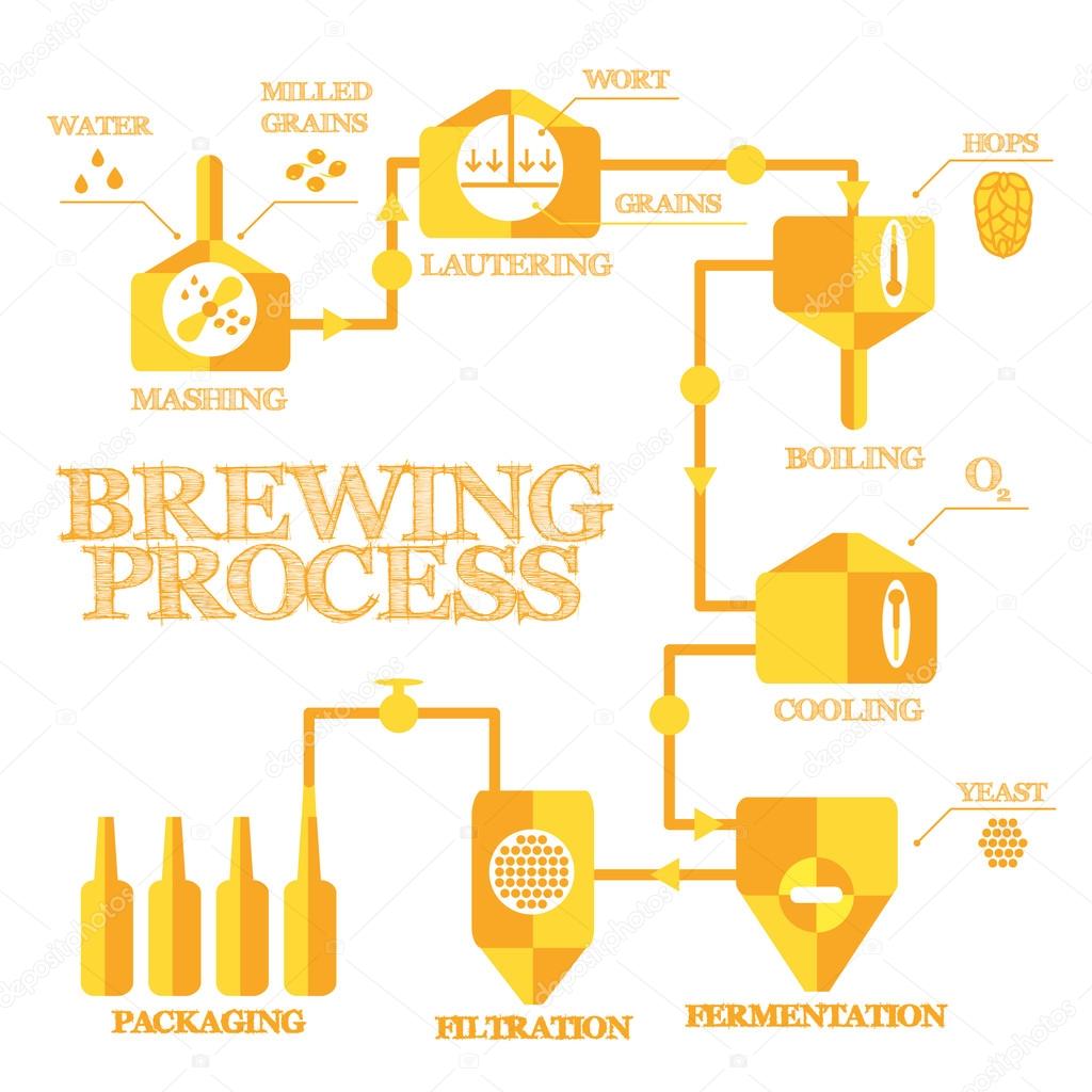 Brewery process infographics Stock Vector by ©fosin 79042722