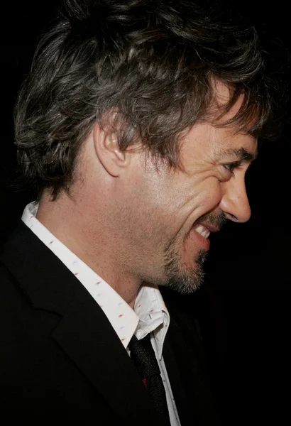 Robert Downey Jr Side Profile