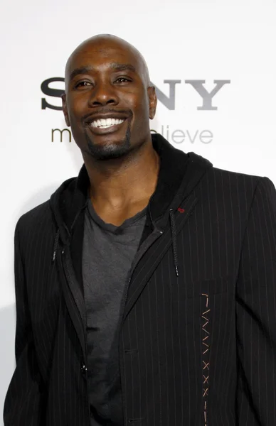 Morris chestnut Stock Photos, Royalty Free Morris chestnut Images ...