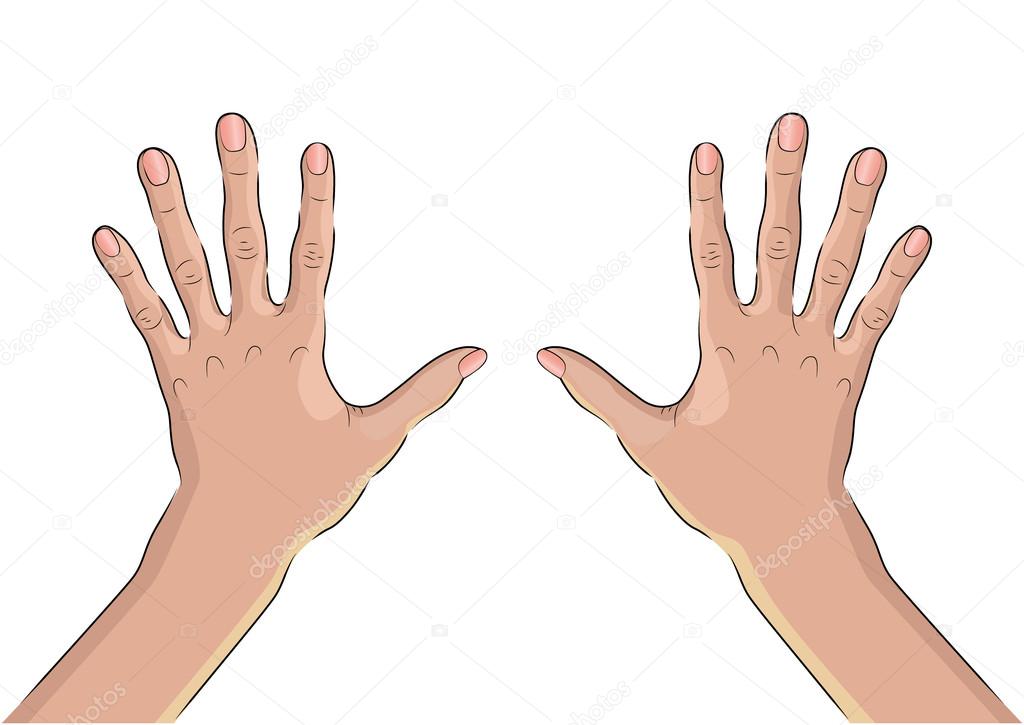 Female Hand Palm From The Outside Stock Vector Image by ©NFitch #82415908