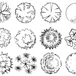 A set of treetop symbols, for architectural or landscape design Stock ...