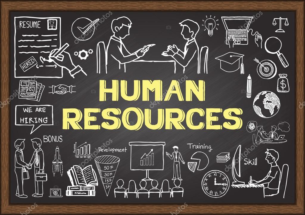 Doodles about human resources on chalkboard. Stock Vector by ...