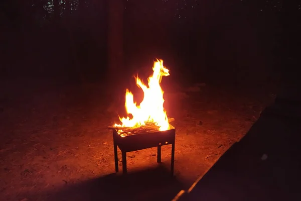 火災をグリルします。 Stock Photos, Royalty Free 火災をグリルします。 Images | Depositphotos