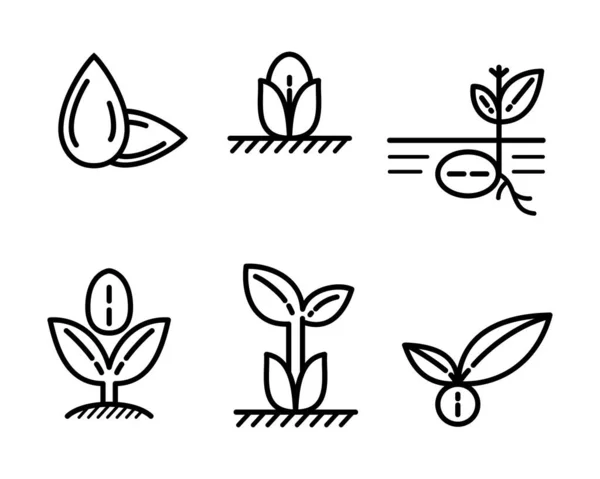 100,000 Planting seed pictogram Vector Images | Depositphotos