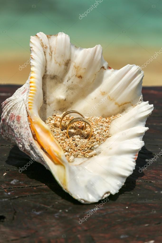 Two wedding rings placed in the seashell on the table against th ...
