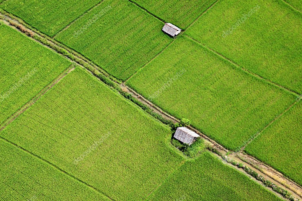 Aerial view of paddy field in Central Thailand Stock Photo by ... Aerial view of paddy field in Central Thailand Stock Photo by ...
