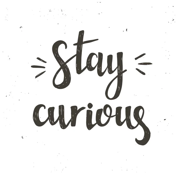 Stay curious Vector Art Stock Images | Depositphotos
