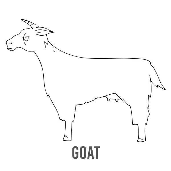 Koza kresba Stock vektory, Royalty Free Koza kresba Ilustrace ...