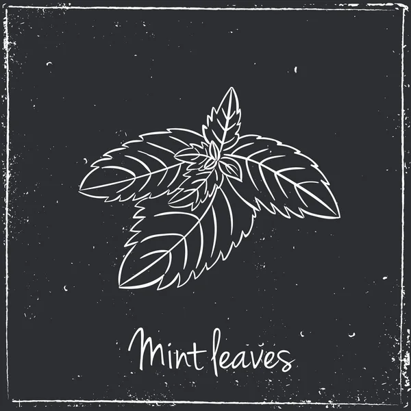 100,000 Mint label Vector Images | Depositphotos