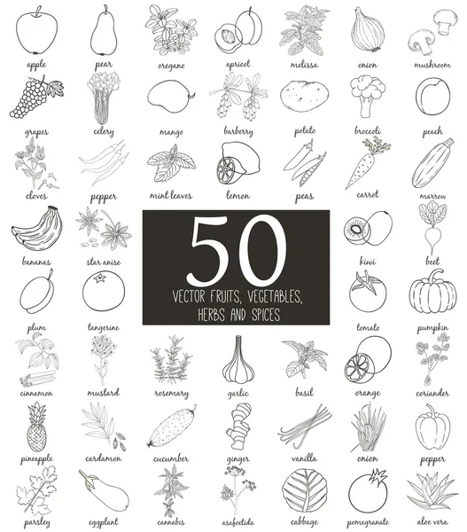 Symbol cebuli Vector Art Stock Images | Depositphotos