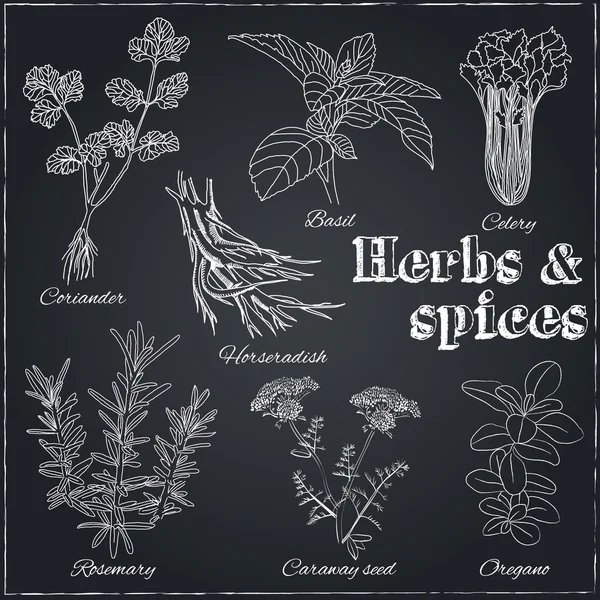 Herbs and Spices set. — Stock Vector © Fafarumba #90409658