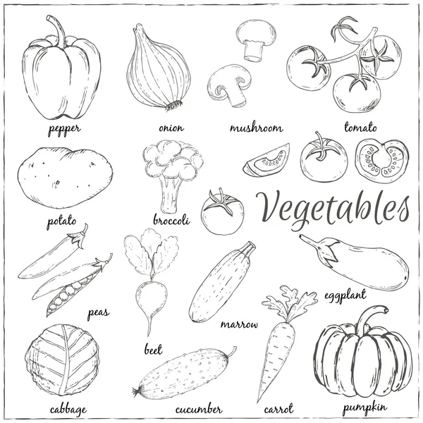 100,000 Vegetables box drawing Vector Images | Depositphotos