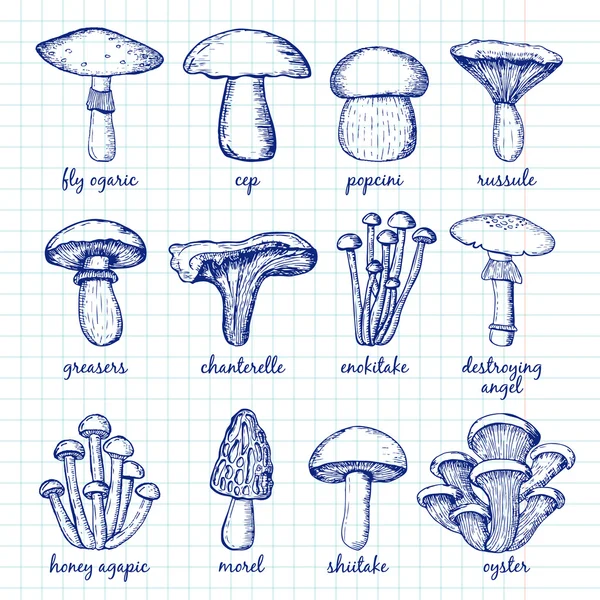 Mushrooms collection for design menus — Stock Vector © Fafarumba #89387908