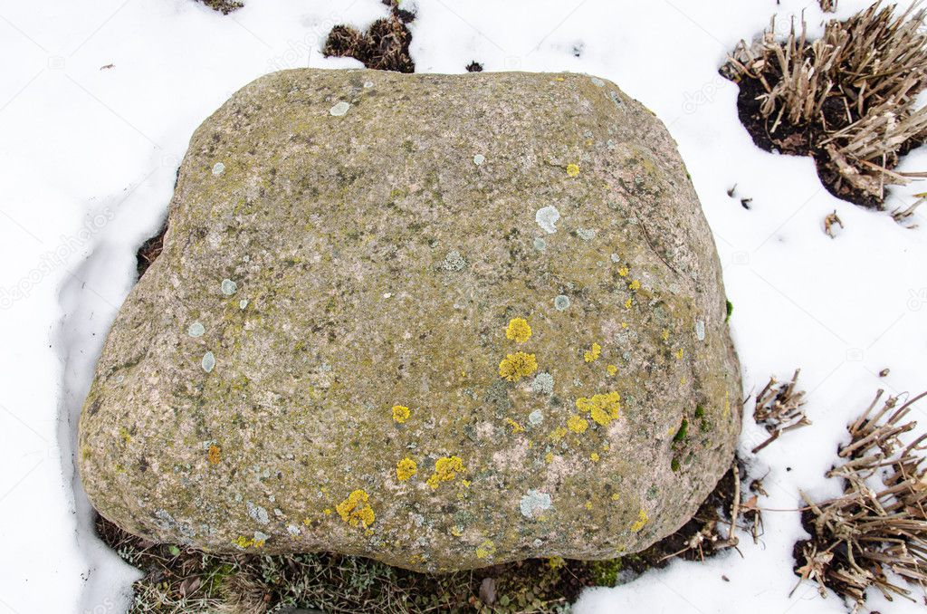 Roca marina. Ocean Rock. Rock de playa. La roca natural. Moss crecen en la roca. Gran roca ...