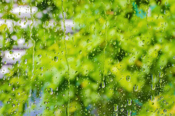 Rainy Season Nature Wallpaper Real
