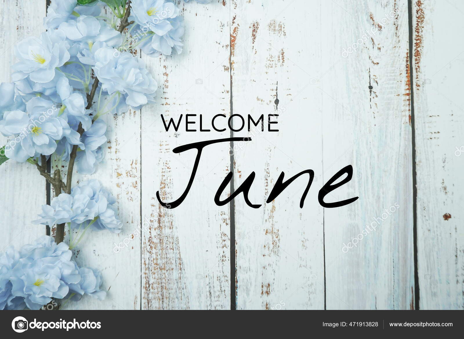 Welcome June Text Blue Flower Decoration Wooden Background Stock Photo ...