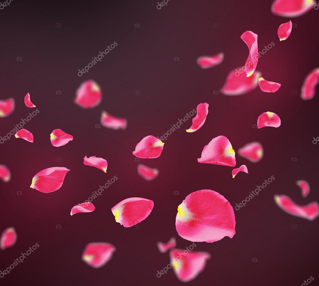 Falling Flower Petals Wallpapers
