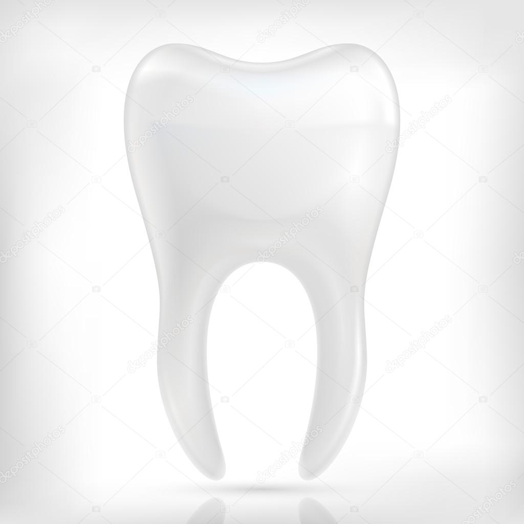 Healthy white tooth icon Stock Vector Image by ©ronedale #89736144