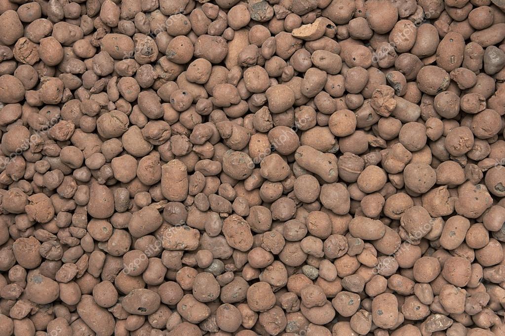 Heat expanded clay pebbles used as a growing media in hydroponics ...