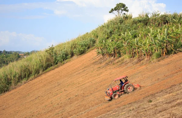 Fotos de Aragem do solo, Imagens de Aragem do solo sem royalties ...