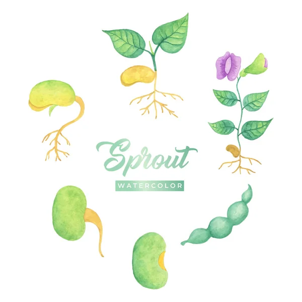 Sprout watercolor Vector Images | Depositphotos