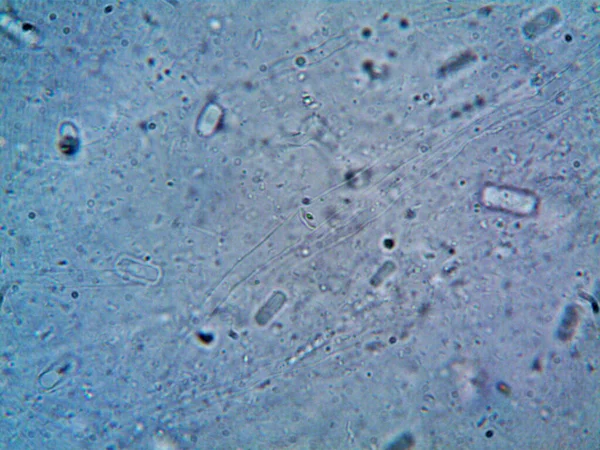 Mitutoyo microscope objective Stock Photos, Royalty Free Mitutoyo ...