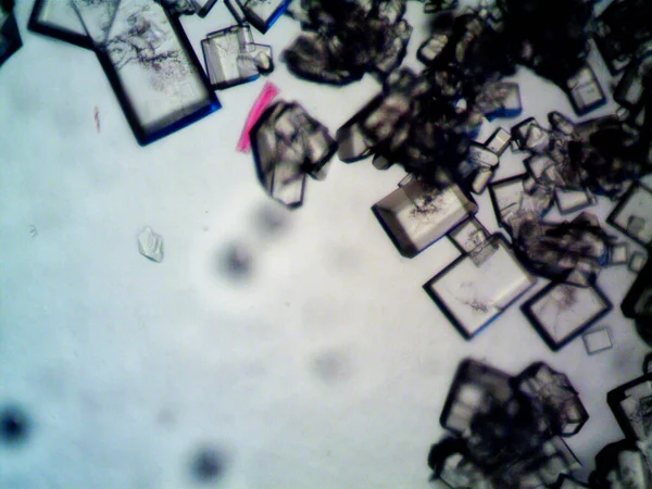 Steel microscope Stock Photos, Royalty Free Steel microscope Images ...