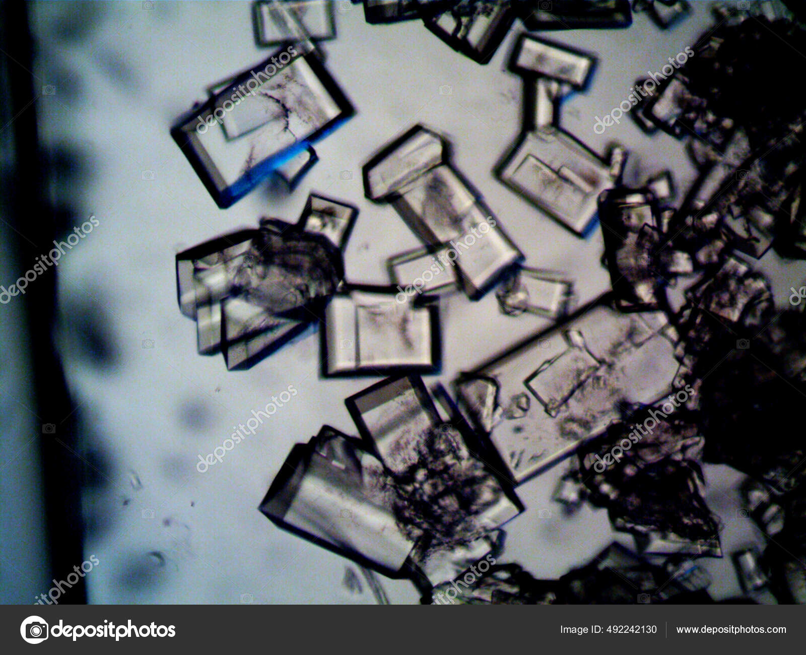 Diffrent Stages Crystalization Seen Microscope — Stock Photo ...