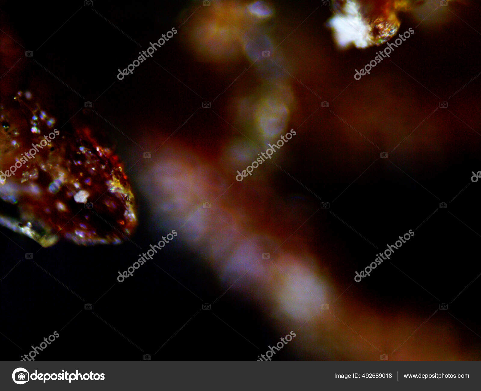 Purple Lemon Microscope X10 — Stock Photo © turek3024 #492689018