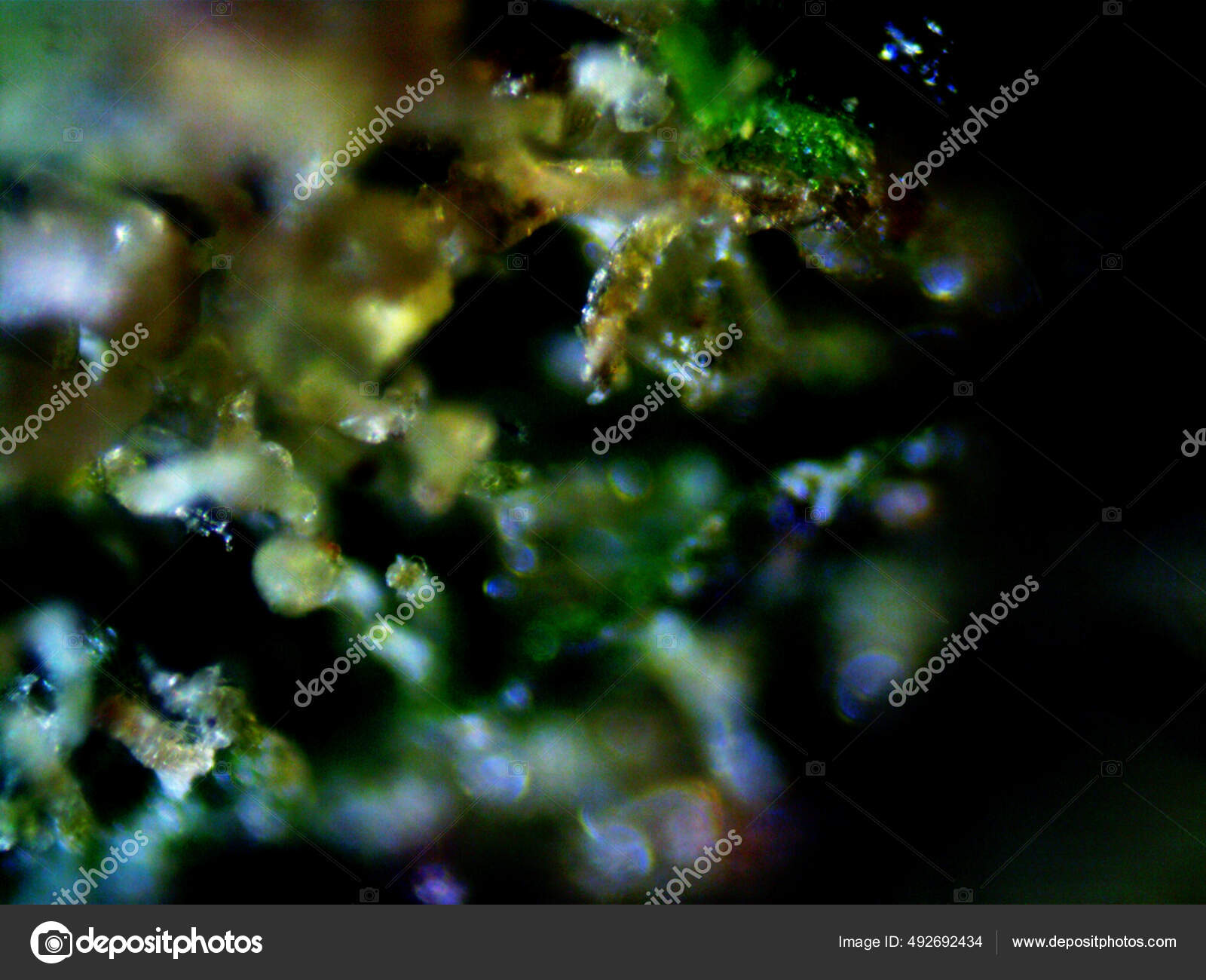 Purple Lemon Microscope X10 — Stock Photo © turek3024 #492692434