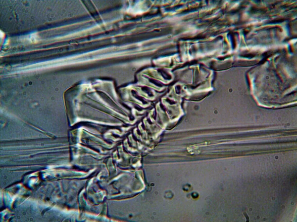 Micro crystal Images - Search Images on Everypixel