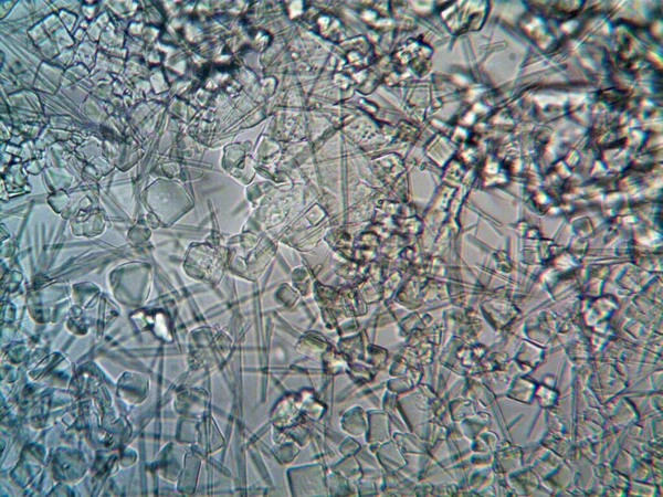 Microbiology crystals Stock Photos, Royalty Free Microbiology crystals ...