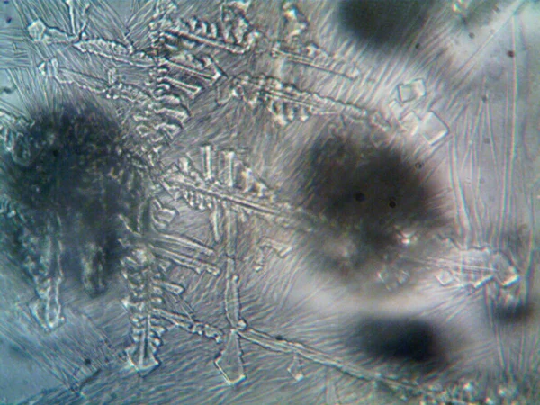 Micro crystal Images - Search Images on Everypixel