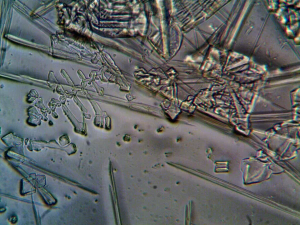 Microbiology crystals Stock Photos, Royalty Free Microbiology crystals ...