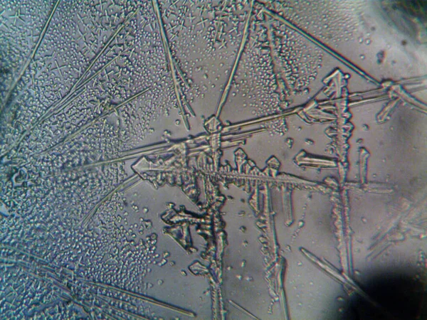 Microbiology crystals Stock Photos, Royalty Free Microbiology crystals ...