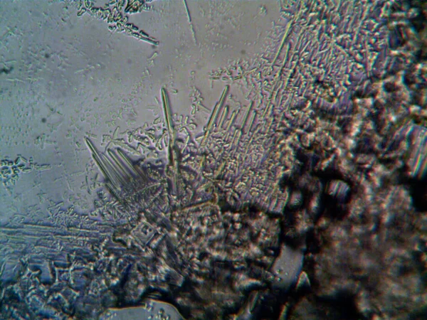 Microscopic crystal Stock Photos, Royalty Free Microscopic crystal ...