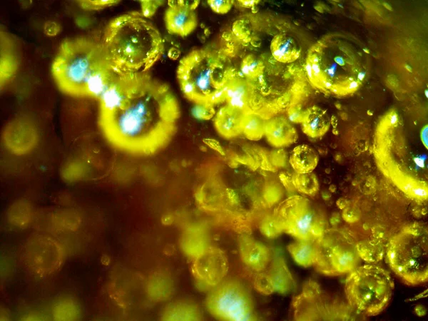 Macro cannabis texture Stock Photos, Royalty Free Macro cannabis ...