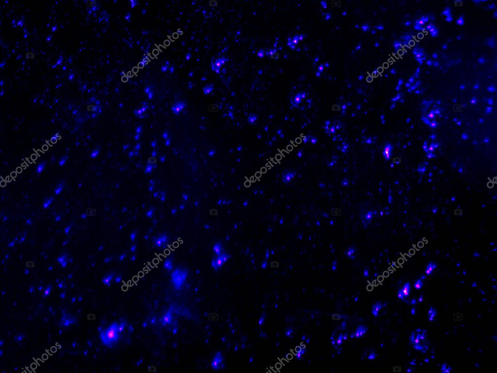 Foto de BHO, aceite de hachís buthan hecho a sí mismo. Foto por ...