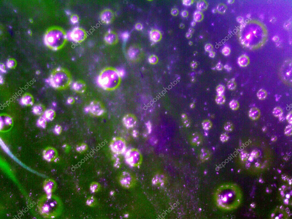 Foto de BHO, aceite de hachís buthan hecho a sí mismo. Foto por ...