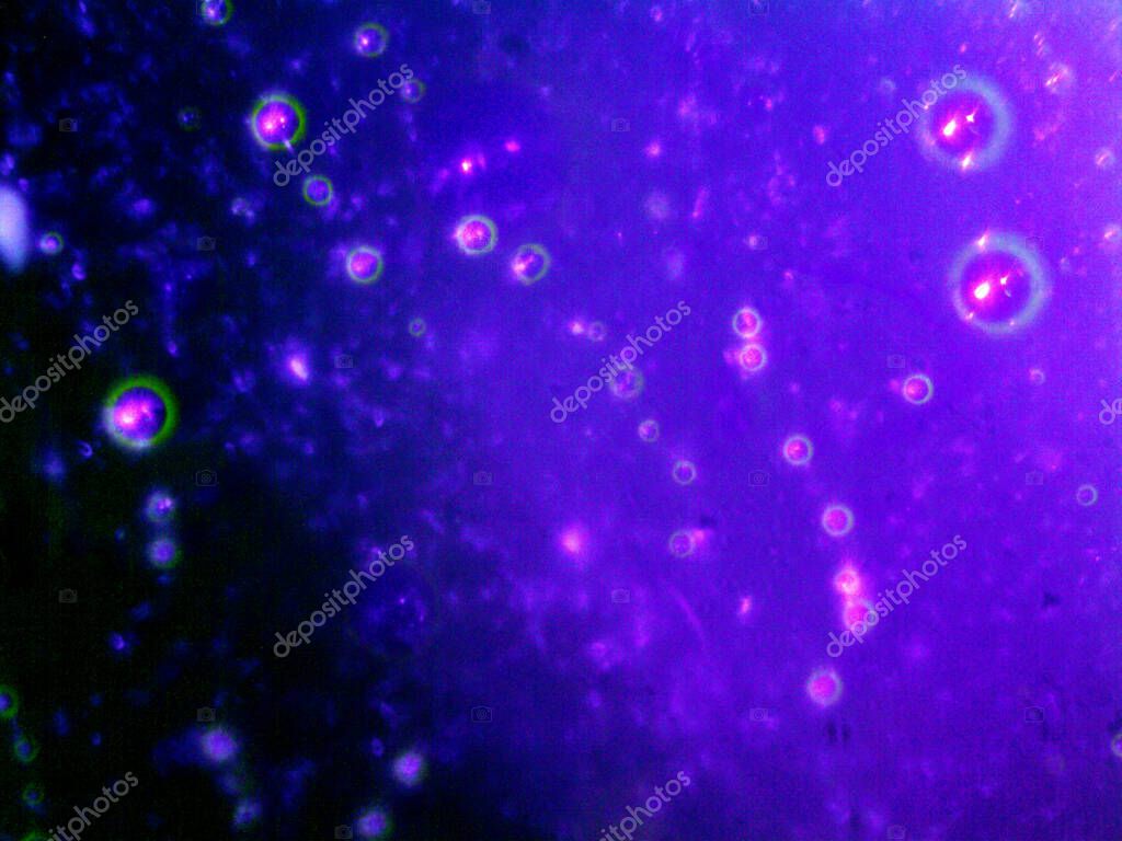 Foto de BHO, aceite de hachís buthan hecho a sí mismo. Foto por ...