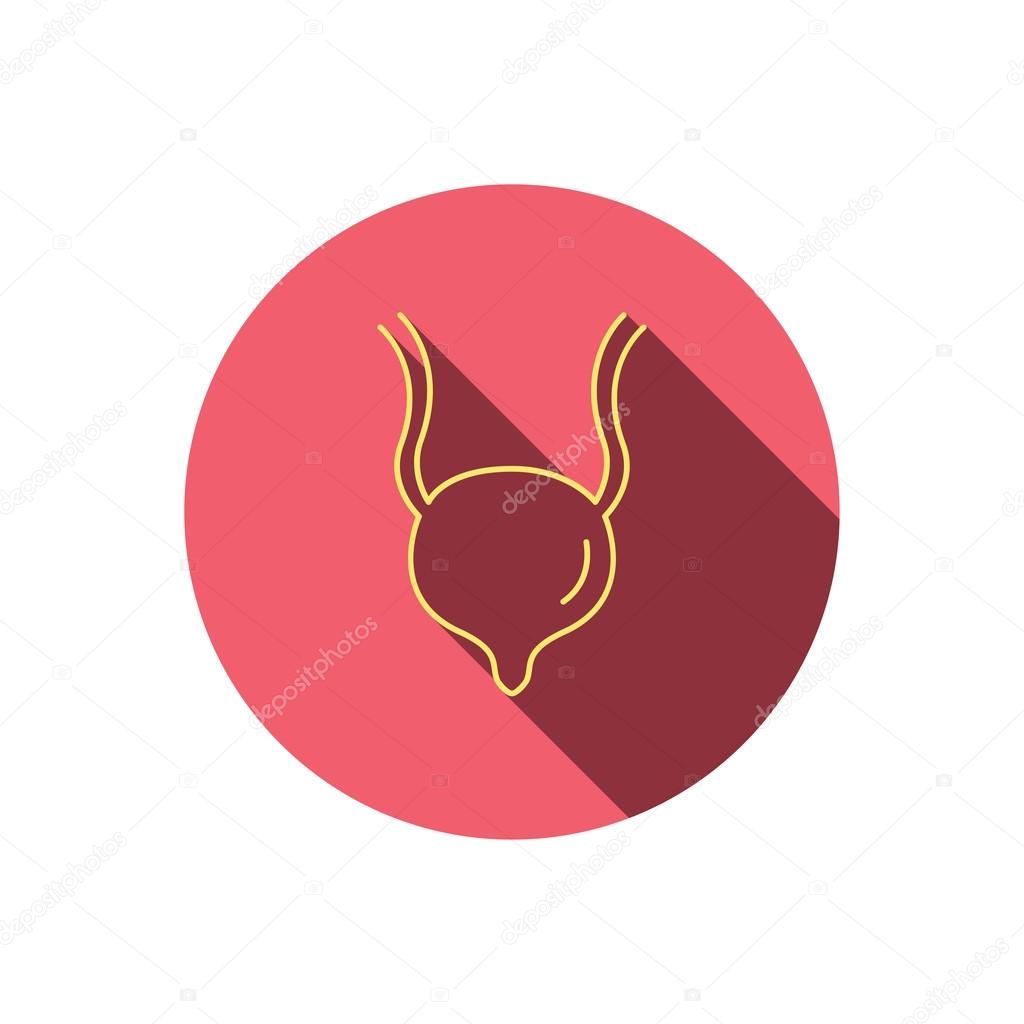Urinary bladder icon. Human body organ sign. Stock Vector Image by ...