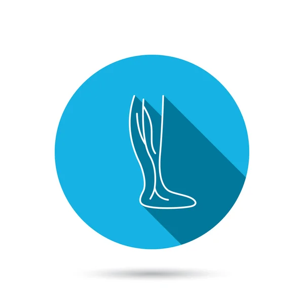 Phlebology icon. Leg veins sign. Stock Vector by ©Tanyastock 81677592