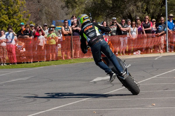 Motorcycle Stunt Rider - Wheelie - Stock Image - Everypixel