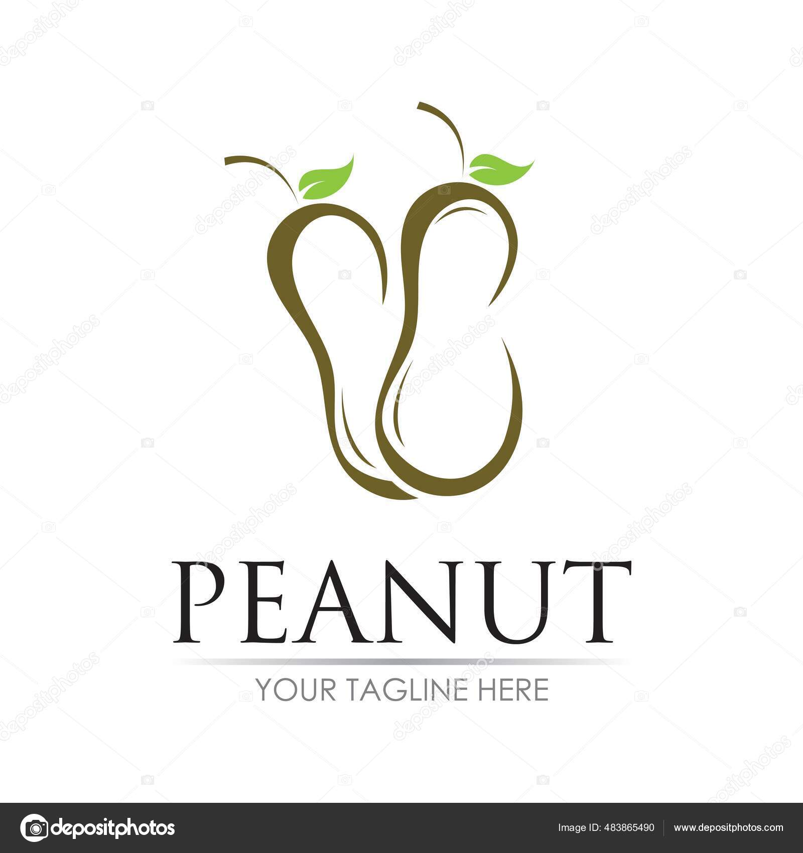 Peanut Logo Vector Illustration Design Template Stock Vector Image by ...