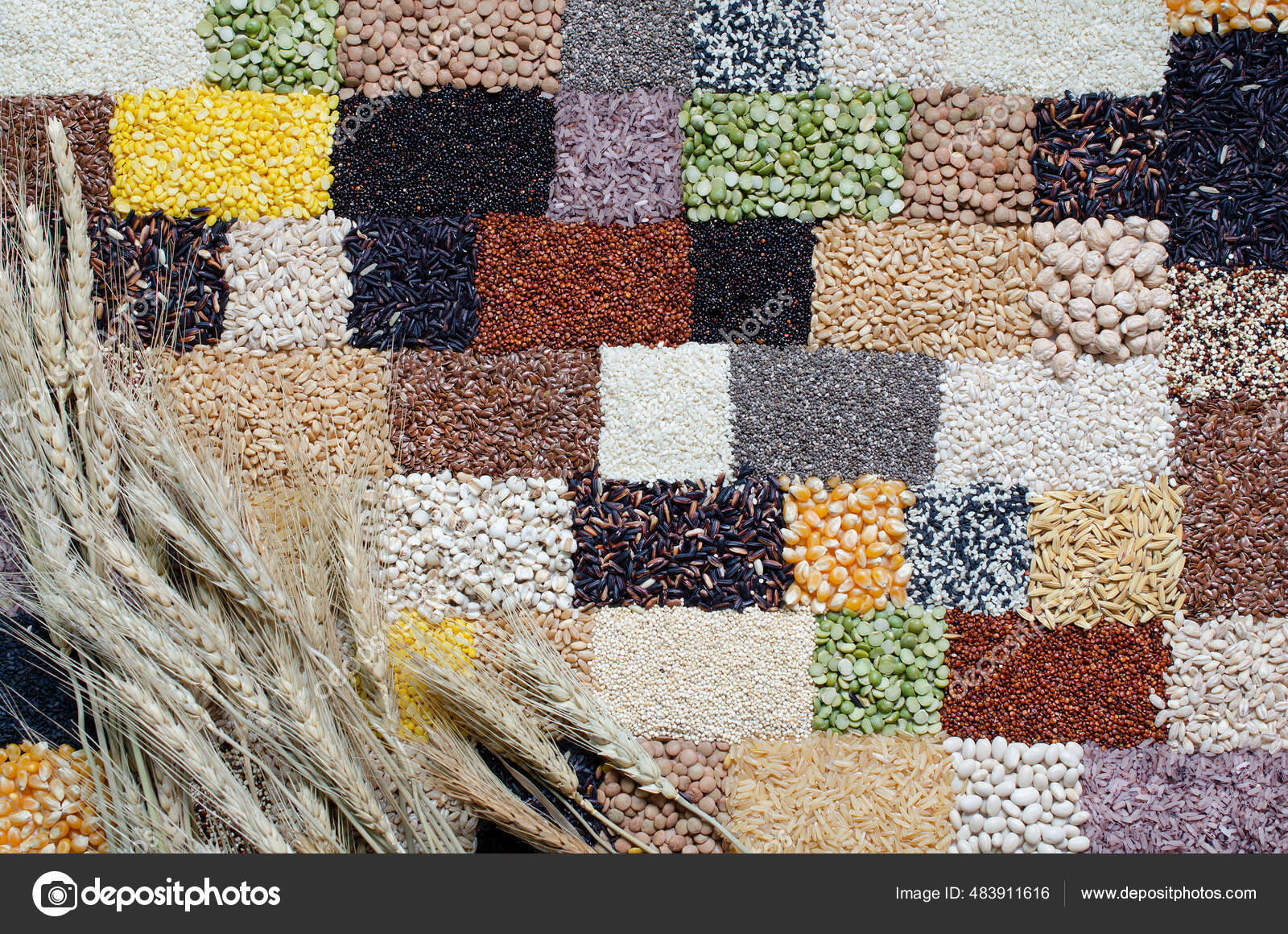 Group Dry Wheat Put Variety Kinds Natural Organic Cereal Grain — Stock ...