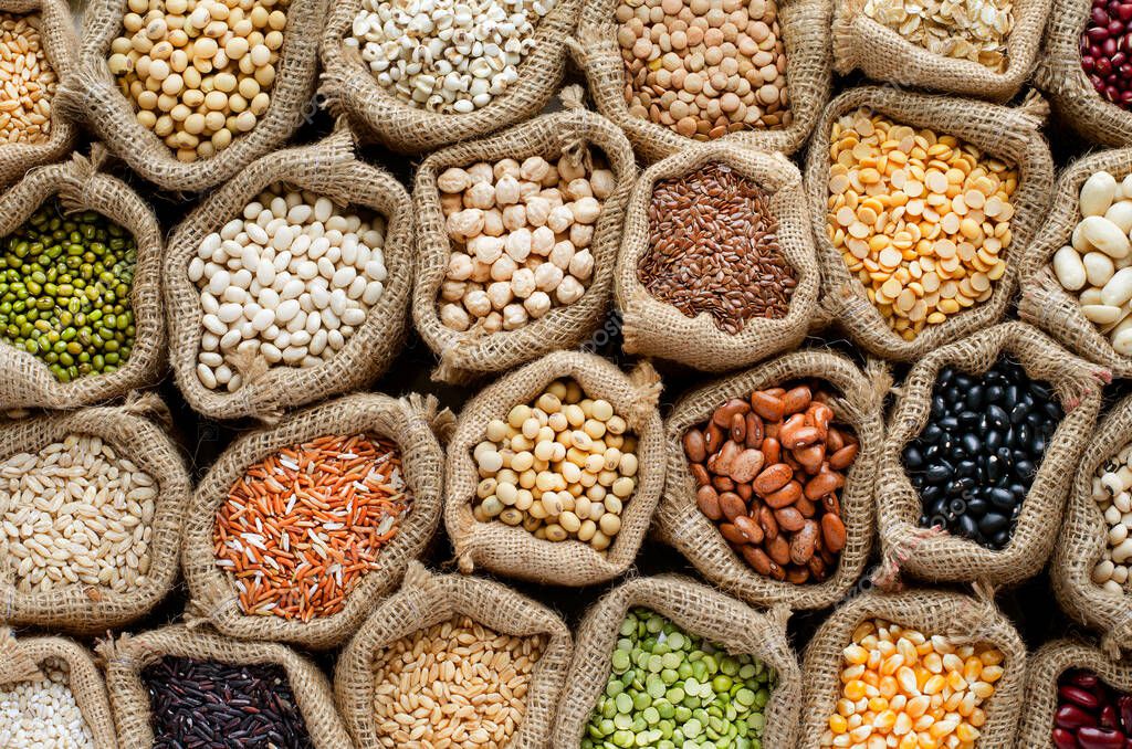 Recogida de cereales orgánicos secos y semillas de grano en saco, para ...