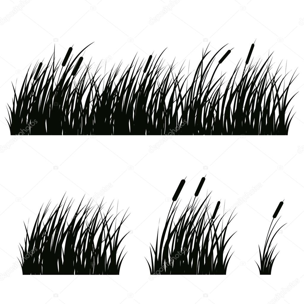 Beach grass 2 Stock Vector Image by ©AmmaShams #85051318