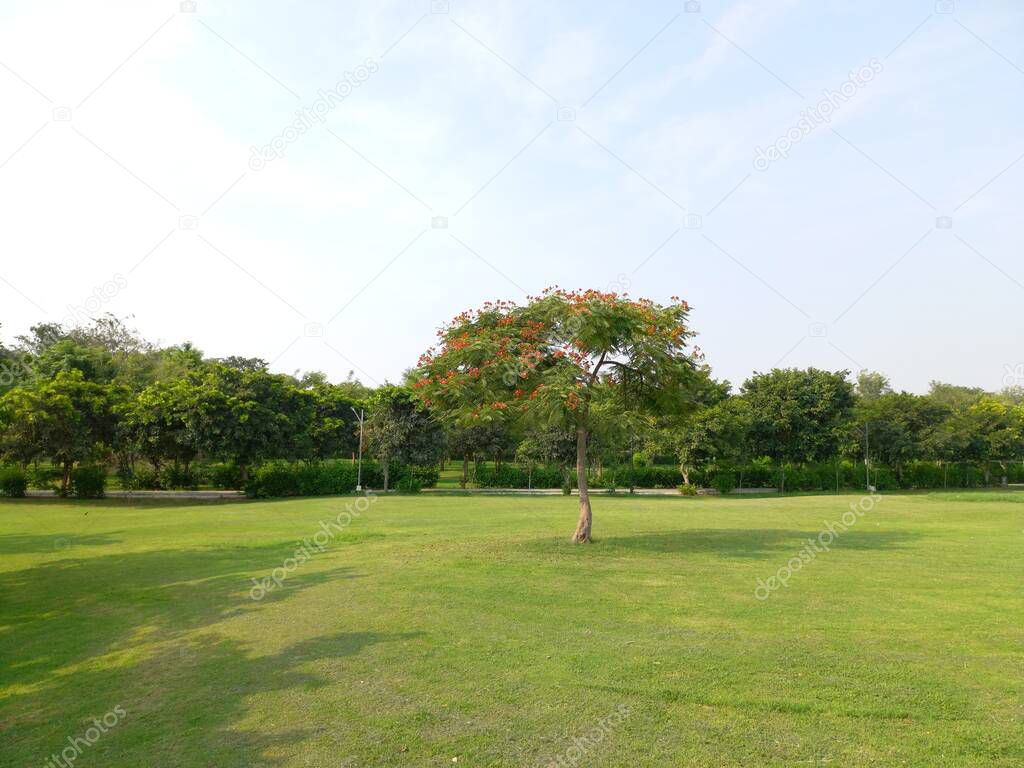 famoso rajasthani ker encurtidos, rajasthan, india 2022